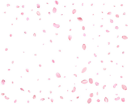 Falling Sakura Wallpaper Images – Browse 25,179 Stock Photos, Vectors ...