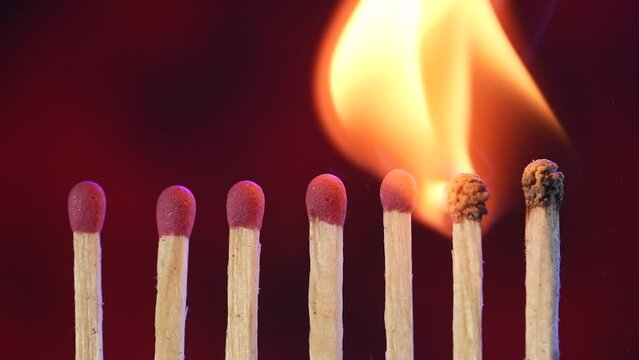 Pass The Torch Images – Browse 541 Stock Photos, Vectors, and Video ...