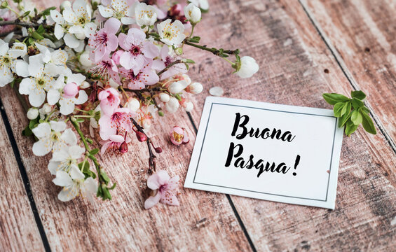 Imágenes de "Buona Pasqua": descubre bancos de fotos, ilustraciones ...