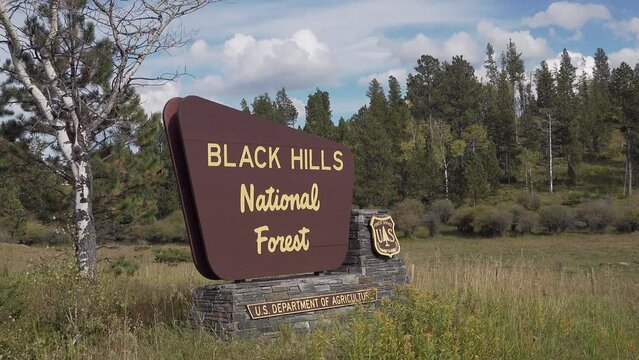 National Forest Sign Images – Browse 49,125 Stock Photos, Vectors, and ...