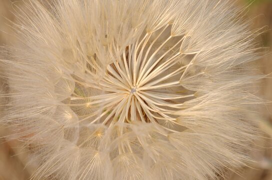 Milted Bilder – Durchsuchen 7,348 Archivfotos, Vektorgrafiken und ...