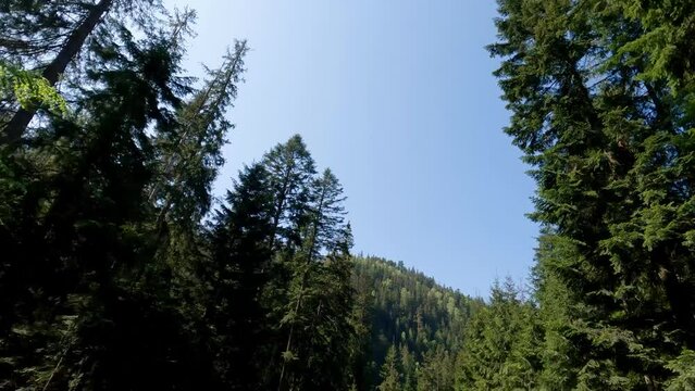 "Sharp Bend"-Bilder: Stock-Fotos & -Videos. | Adobe Stock