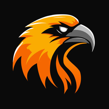 john photos, images, assets | Adobe Stock