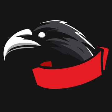 john photos, images, assets | Adobe Stock