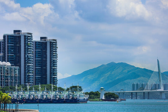 Shekou Images – Browse 195 Stock Photos, Vectors, and Video | Adobe Stock