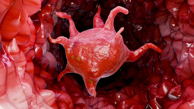 Thrombocytes Images – Browse 35,369 Stock Photos, Vectors, and Video ...