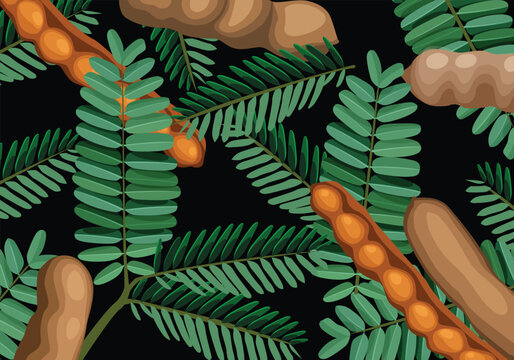 "Tamarind Tree" Images – Browse 39,843 Stock Photos, Vectors, and Video ...