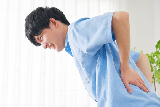 ヘルニア Images – Browse 2,081 Stock Photos, Vectors, and Video | Adobe Stock