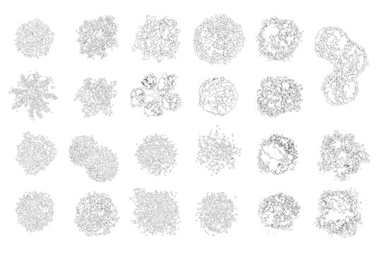 Tree Plan View Images – Browse 75,305 Stock Photos, Vectors, and Video ...