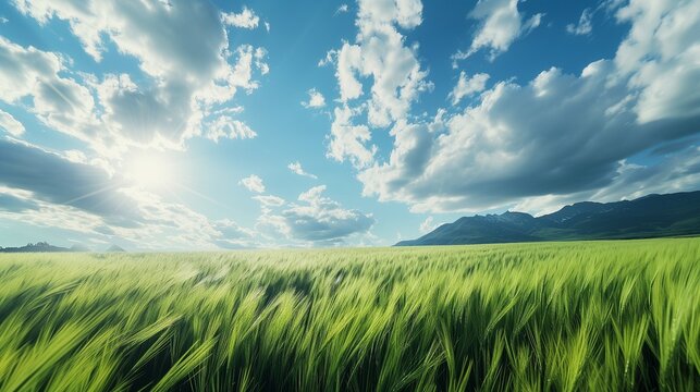 "Vast Field" Images – Browse 608 Stock Photos, Vectors, and Video ...