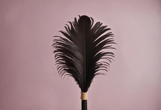 "Tickler File"-Bilder: Stock-Fotos & -Videos. | Adobe Stock