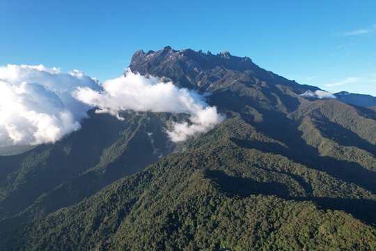 "Balu - Images et vidéos libres de droits | Adobe Stock