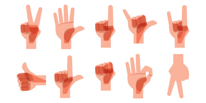 "Flat Hand" Images – Browse 518 Stock Photos, Vectors, and Video ...