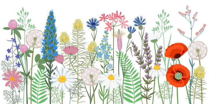 Wildflowers Background Images – Browse 872,763 Stock Photos, Vectors ...