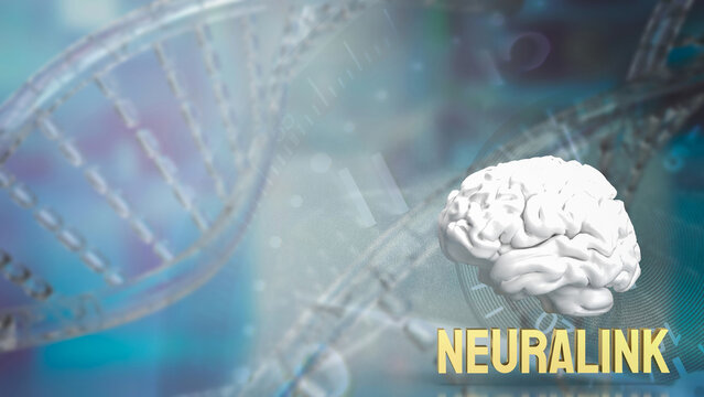 รูปภาพNeurolink – เลือกดูภาพถ่ายสต็อก เวกเตอร์ และวิดีโอ1,715 | Adobe Stock