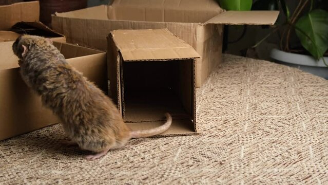 "Box - Container"-Bilder: Stock-Fotos & -Videos. | Adobe Stock