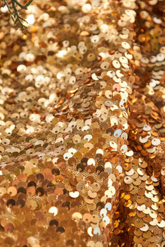 "Gold Sequins" Images – Browse 340 Stock Photos, Vectors, and Video ...