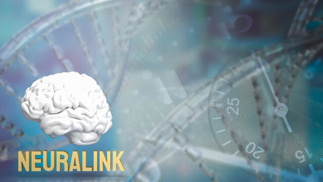 รูปภาพNeurolink – เลือกดูภาพถ่ายสต็อก เวกเตอร์ และวิดีโอ5,152 | Adobe Stock