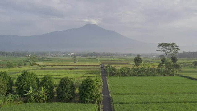 Banyumas Images – Browse 399 Stock Photos, Vectors, and Video | Adobe Stock