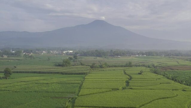 Banyumas Imagens – Procure 395 fotos, vetores e vídeos | Adobe Stock