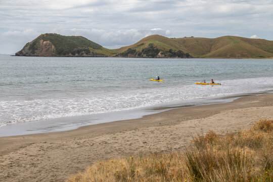 Popel Images – Browse 45 Stock Photos, Vectors, and Video | Adobe Stock