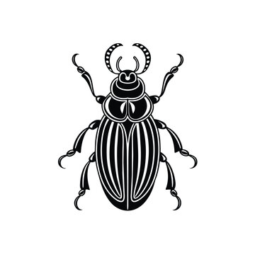 "Beetle Vector" Images – Browse 227 Stock Photos, Vectors, and Video ...