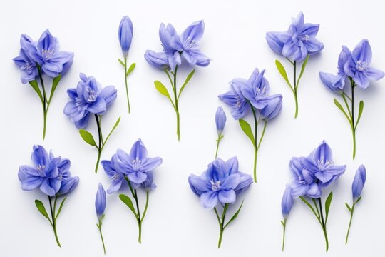 Single Blue Flower Images – Browse 113,856 Stock Photos, Vectors, and ...