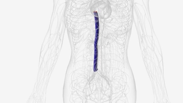 "Indus Valley Civilization" Images – Browse 590 Stock Photos, Vectors ...