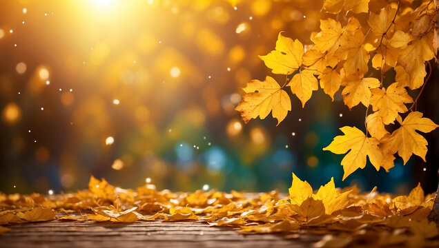 AMIRUN photos, images, assets | Adobe Stock