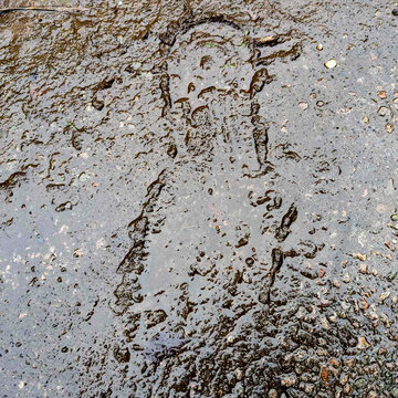 "Wet Mud" Images – Browse 231 Stock Photos, Vectors, and Video | Adobe ...