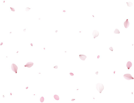 Falling Sakura Wallpaper Images – Browse 13,666 Stock Photos, Vectors ...