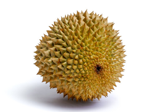 Duren-Bilder: Stock-Fotos & -Videos. | Adobe Stock