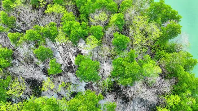 Urging Images – Browse 43,941 Stock Photos, Vectors, and Video | Adobe ...