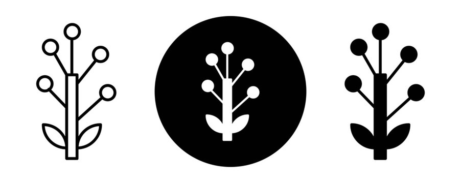 "Golden Wattle" Images – Browse 785 Stock Photos, Vectors, and Video | Adobe Stock