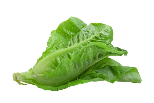 Bcm Images – Browse 12,737 Stock Photos, Vectors, and Video | Adobe Stock