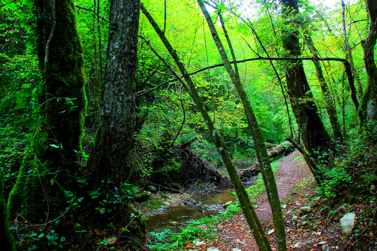 Terraneous Images – Browse 16 Stock Photos, Vectors, and Video | Adobe ...