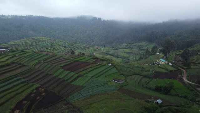 Kokkal Images – Browse 5 Stock Photos, Vectors, and Video | Adobe Stock