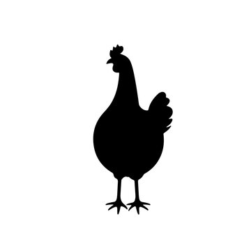 "Chicken Design" Images – Browse 317 Stock Photos, Vectors, and Video ...