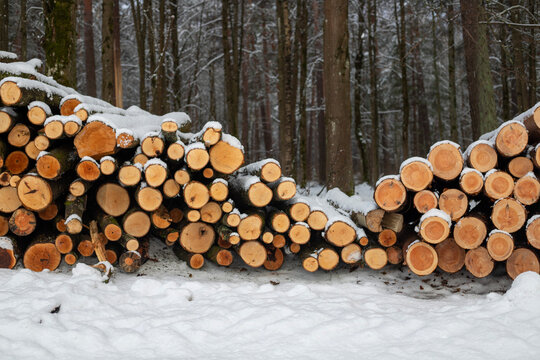 "Log Pile" Images – Browse 101,567 Stock Photos, Vectors, and Video ...