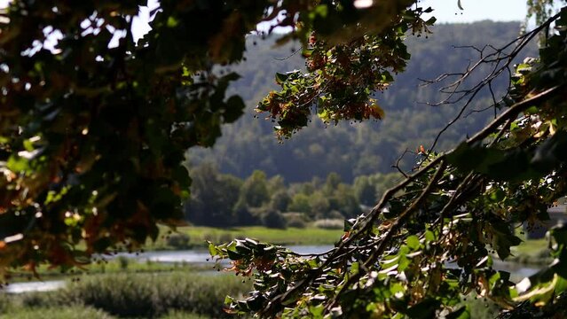 "Summer Stream" Images – Browse 28 Stock Photos, Vectors, and Video ...