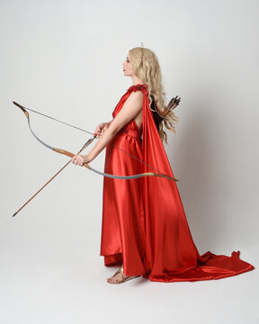 faestock photos, images, assets | Adobe Stock