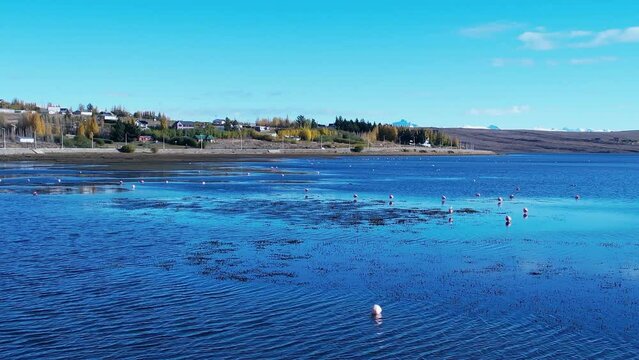 Aptivity Images – Browse 10 Stock Photos, Vectors, and Video | Adobe Stock