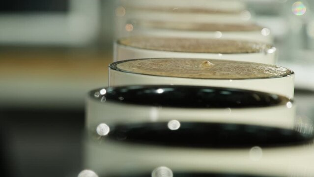 รูปภาพDiluted – เลือกดูภาพถ่ายสต็อก เวกเตอร์ และวิดีโอ1,350,179 | Adobe ...