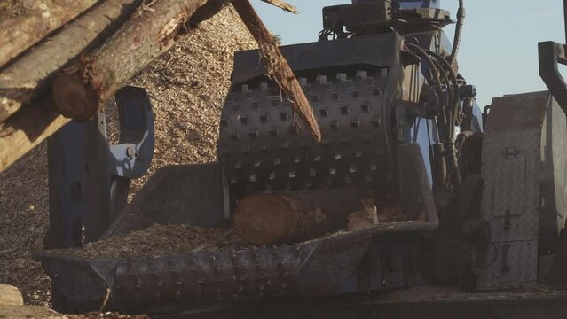 "Wood Chopper"-Bilder: Stock-Fotos & -Videos. | Adobe Stock