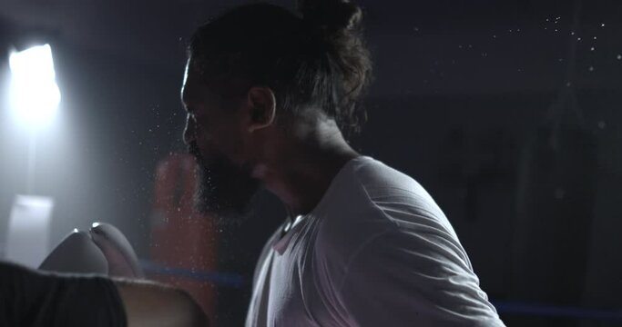 Face Punch Images – Browse 35,884 Stock Photos, Vectors, and Video ...