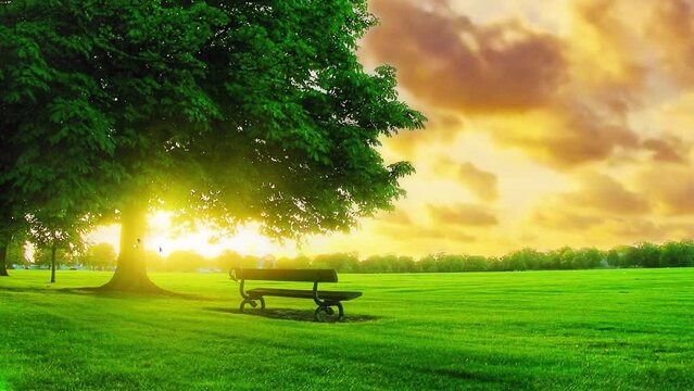 Beautiful Images – Browse 85,921,884 Stock Photos, Vectors, and Video ...