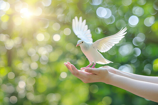 "Symbol Of Harmony" Images – Browse 126 Stock Photos, Vectors, and ...