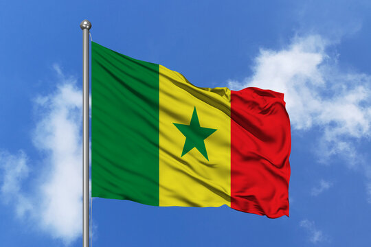 "Senegal Flag" - Images et vidéos libres de droits | Adobe Stock