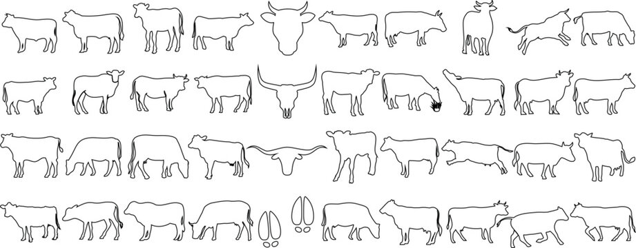 Cattle Outline Images – Browse 98,068 Stock Photos, Vectors, and Video ...