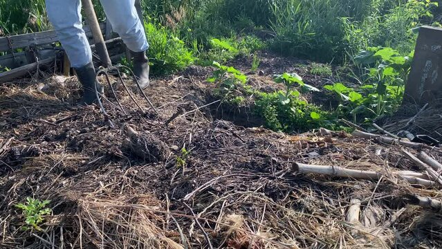 "Spading Fork" Images – Browse 5,652 Stock Photos, Vectors, and Video ...